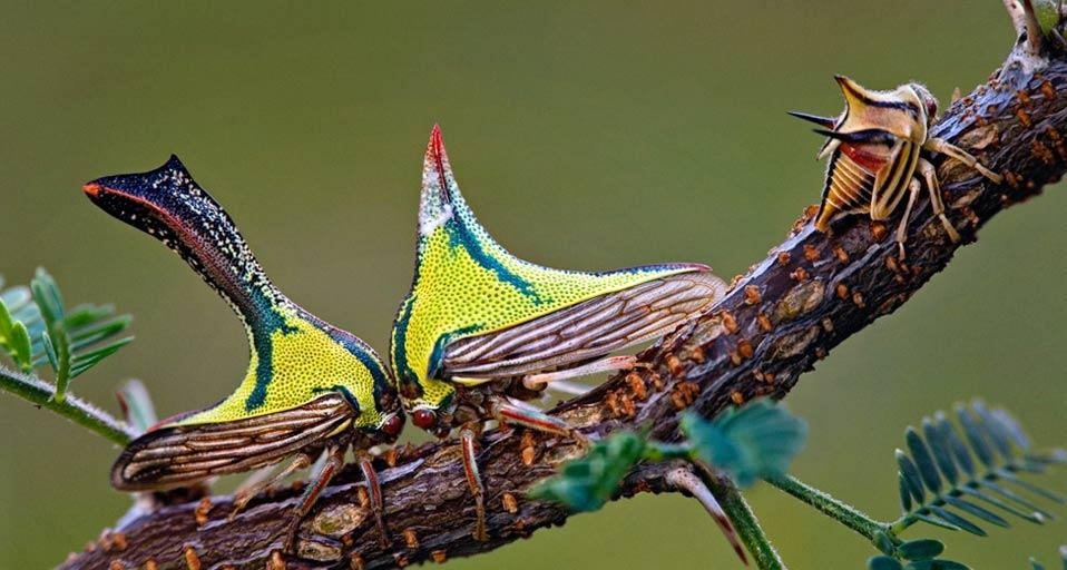 Bing Wallpaper Archive