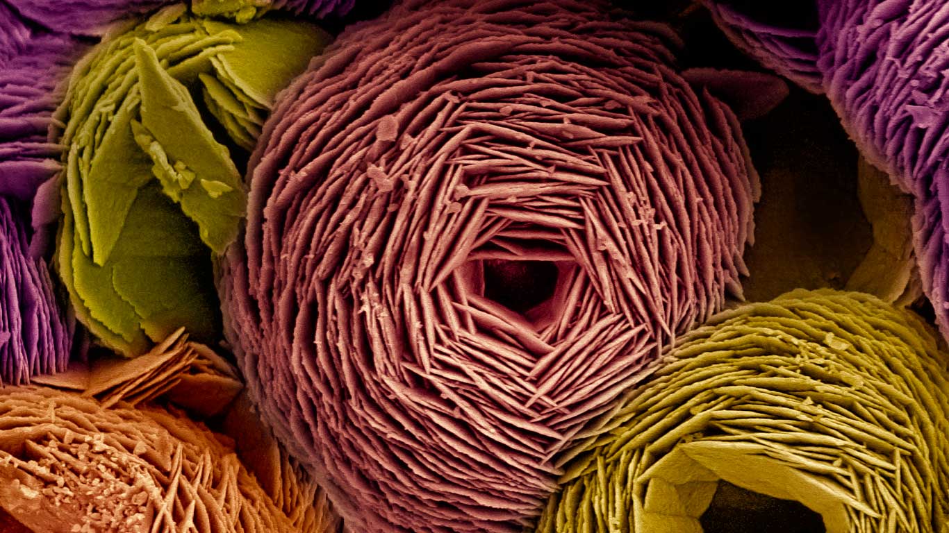 Bing Wallpaper Archive